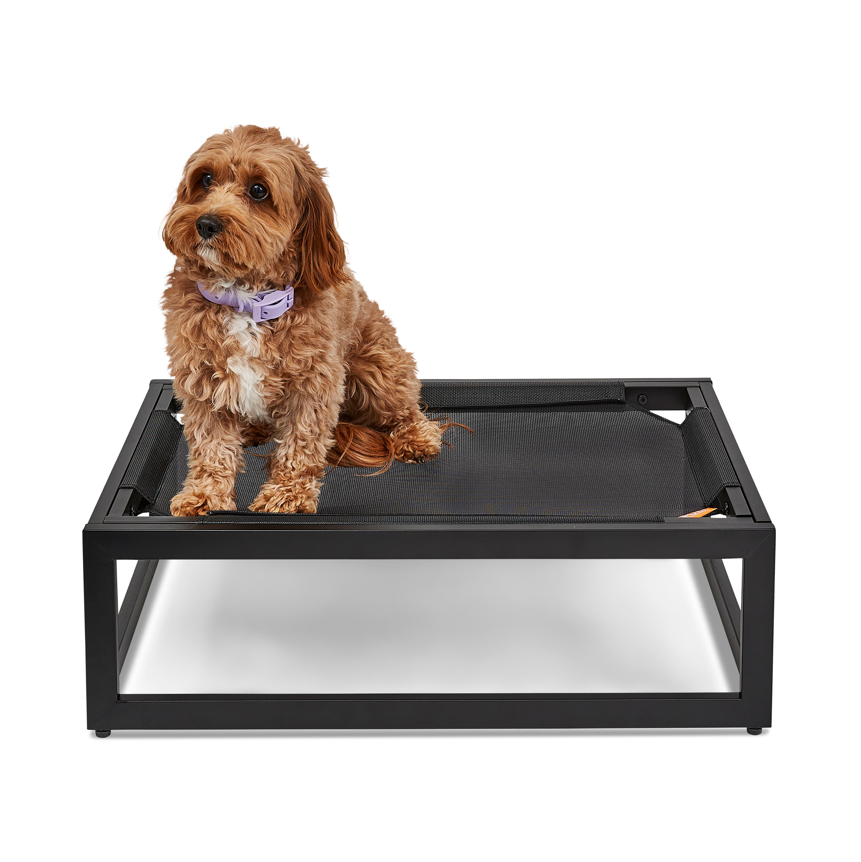 The up Pup Elevated Dog Bed Modern Dog Bed Raised Dog Bed Elevated Dog ...