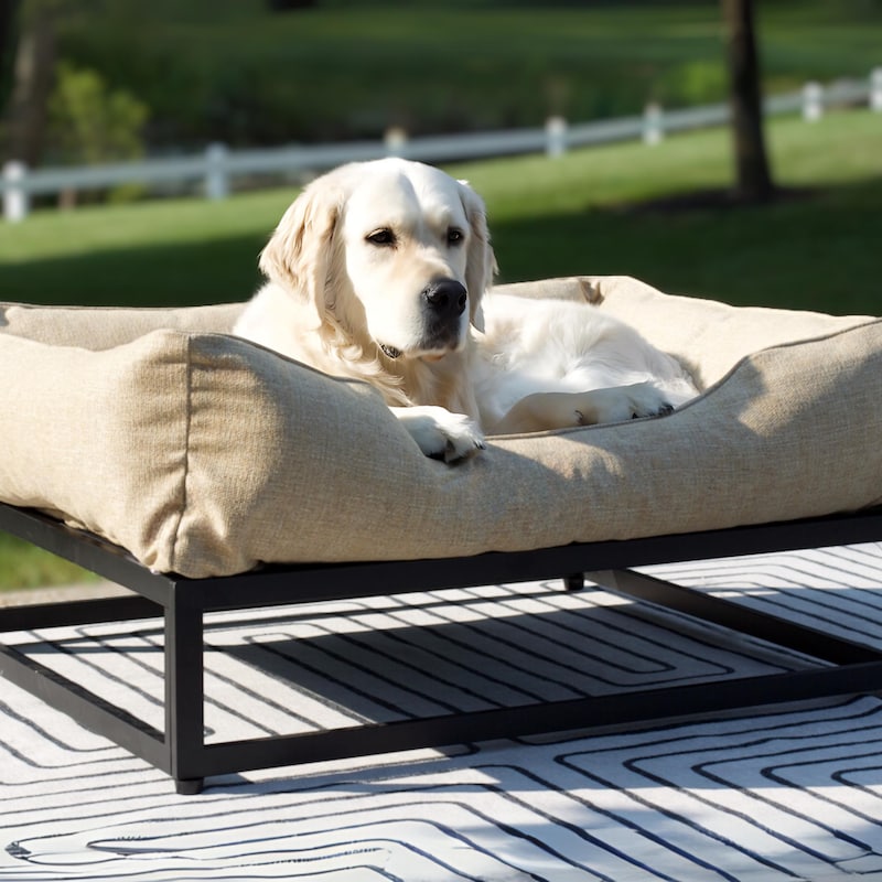 Raised Medium Dog Bed - Etsy