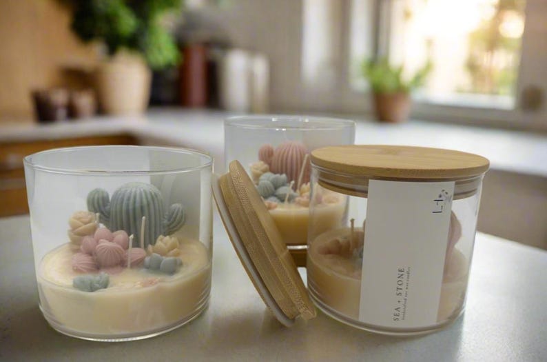 3-wick Succulent Candle: Terrarium Style Botanical Garden Candle - Etsy