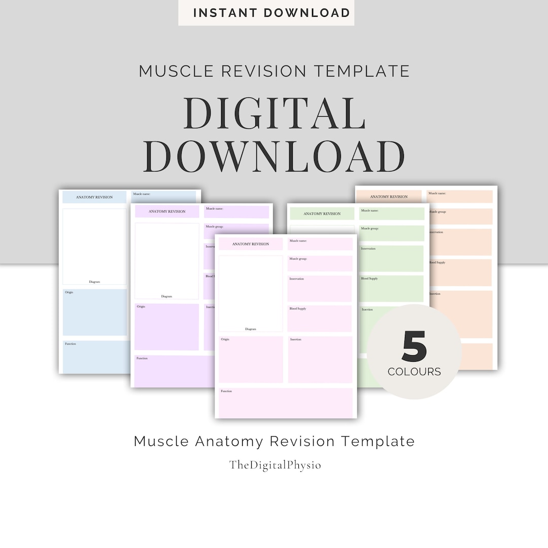 ANATOMY REVISION DOWNLOAD- Physiotherapy, Nursing, Medical Students ...