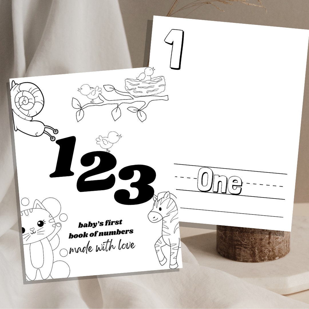 Blank Numbers Book, Baby Shower, Baby's First 123 Book, Baby's First ...