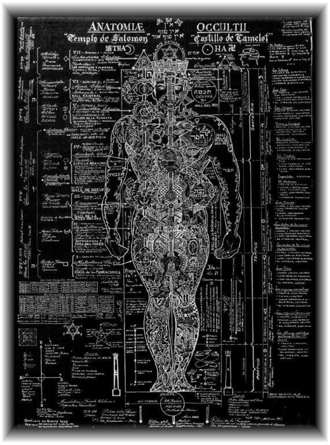 ANATOMIE OCCULTII anatomy of the Occult - Etsy