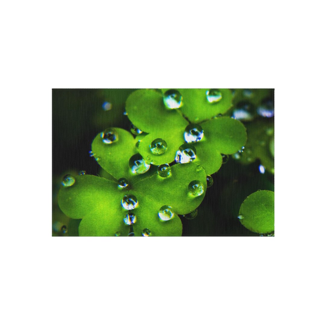 Shamrocks Clovers Bubbles St. Patrick's Day Outdoor Rug - Etsy