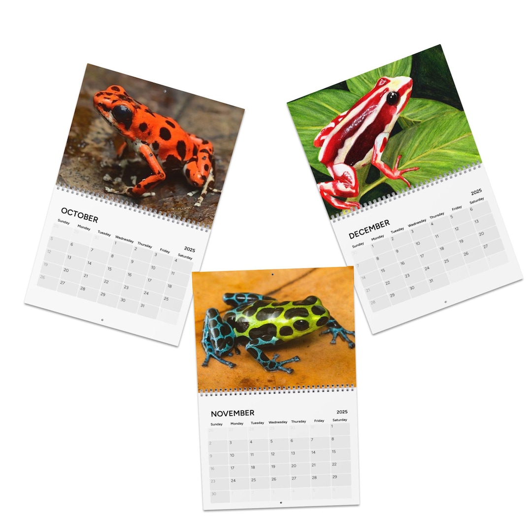 Colorful Tropical Frogs Calendar 2025 holidays Not Listed - Etsy Canada