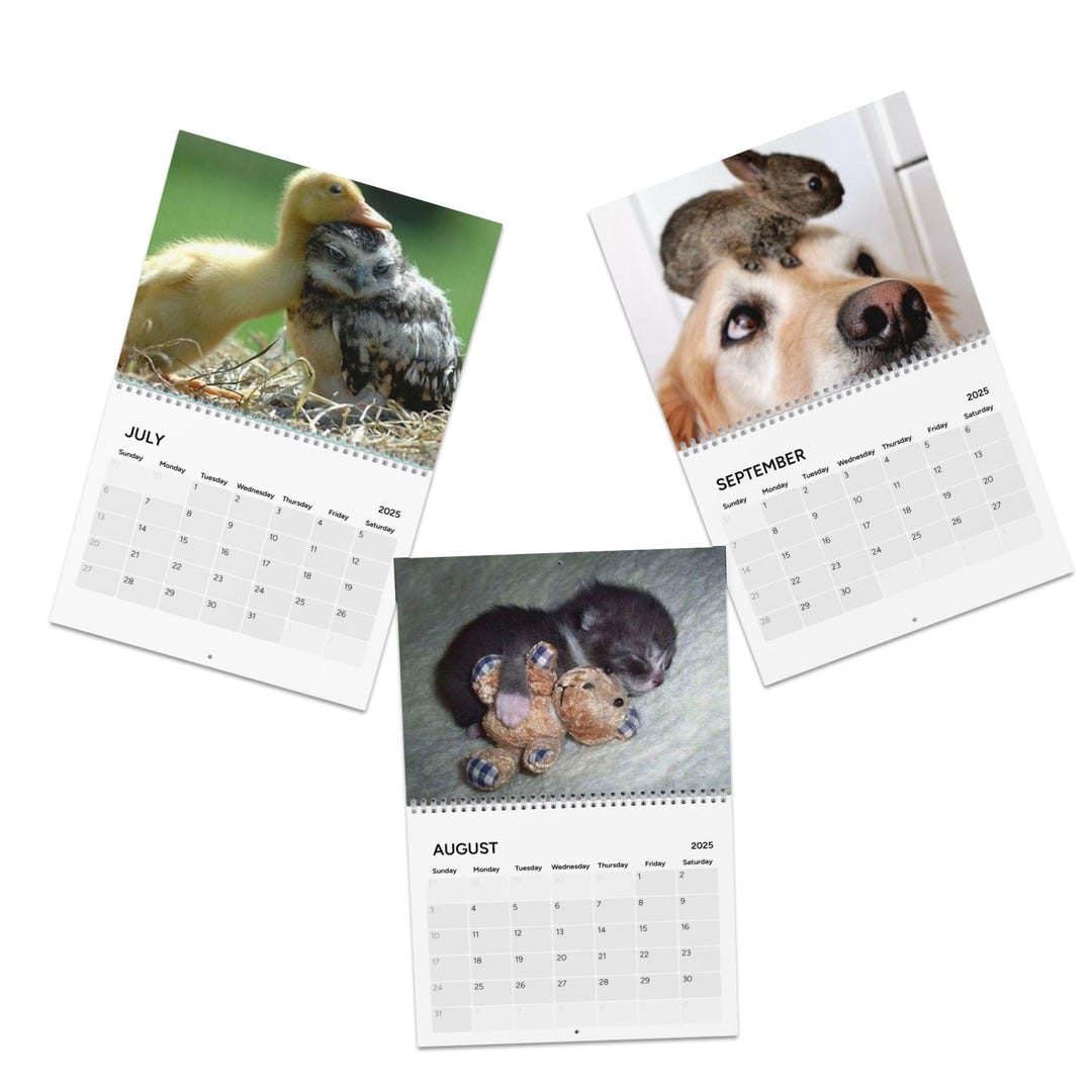 Cute Baby Animals Calendar 2025 holidays Not Listed - Etsy