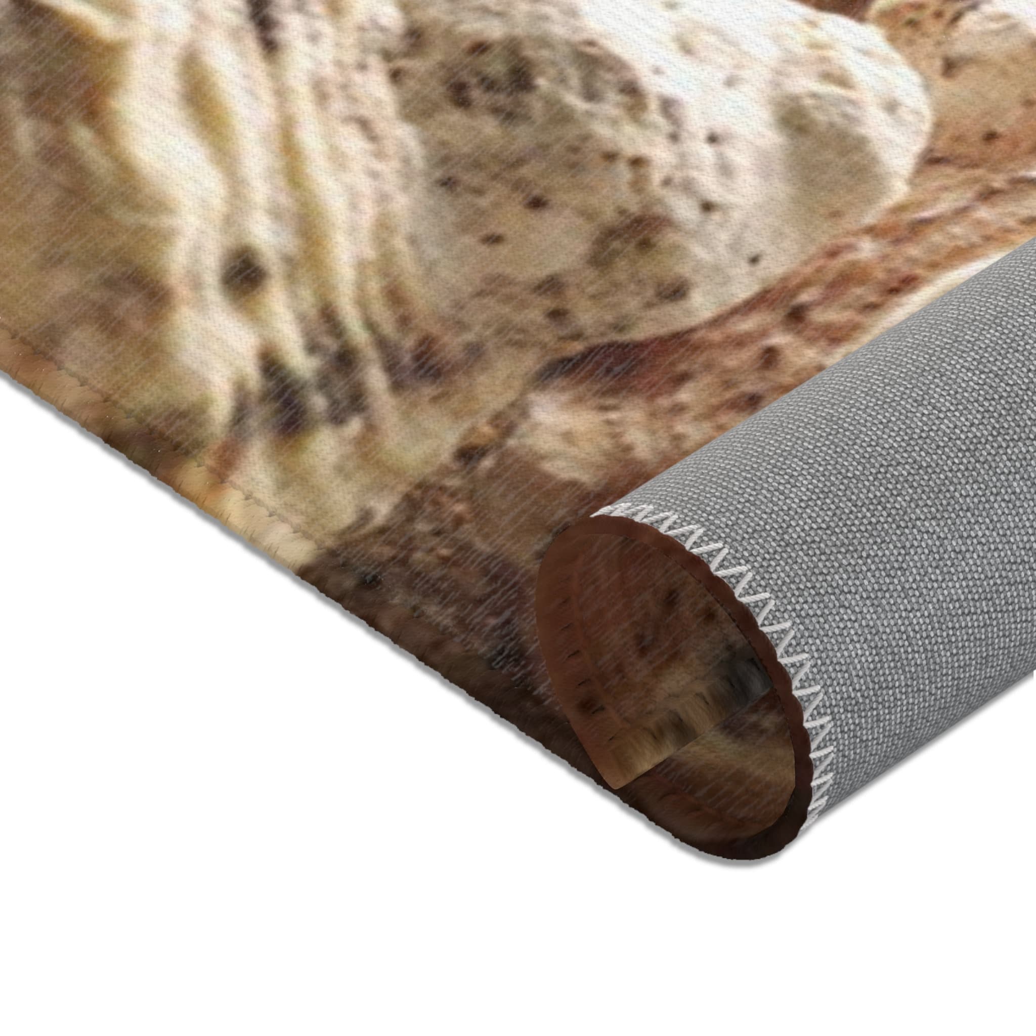 Beach Seashells Area Rugs - Etsy