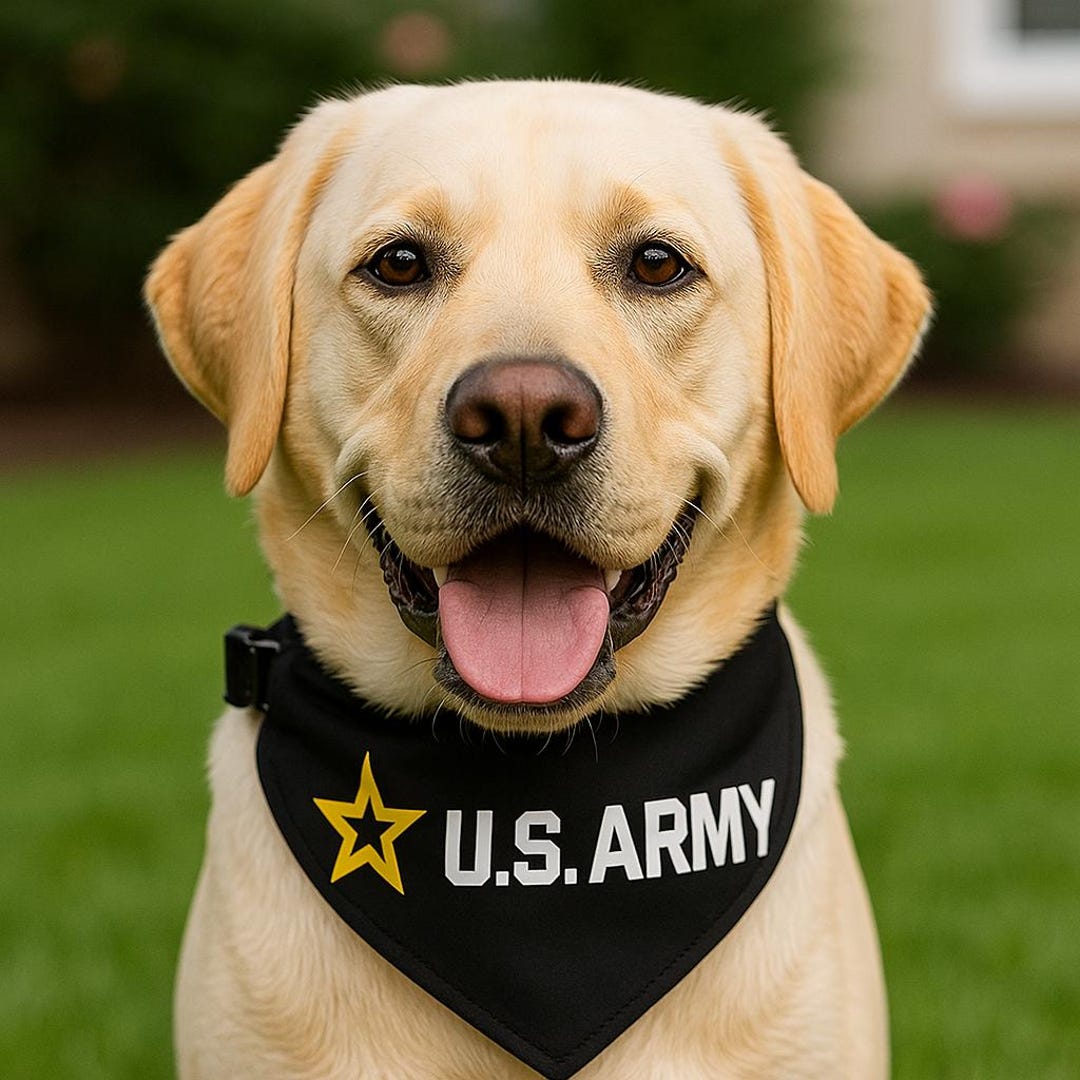 U.S. Army Pet Dog Bandana Collar – Adjustable & Durable - Etsy
