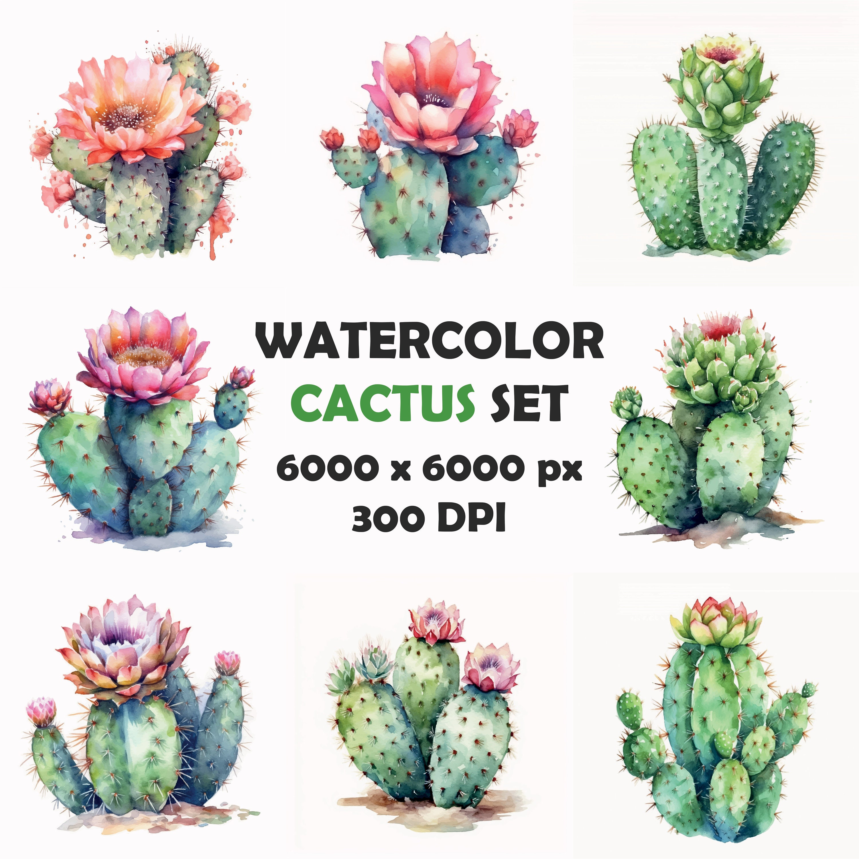 Watercolor Cute Cactus Clipart Bundle Commercial Use PNG Files for ...
