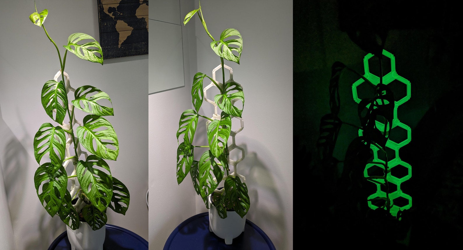 Modular Plant Trellis STL Files ONLY Print at Home Customizable Reconfigurable Hexagon 3D ...