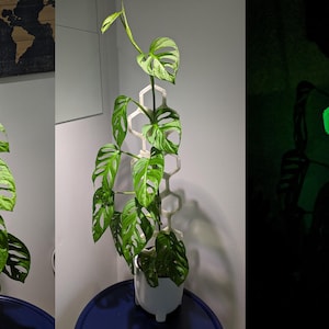 Modular Plant Trellis STL Files ONLY Print at Home Customizable ...