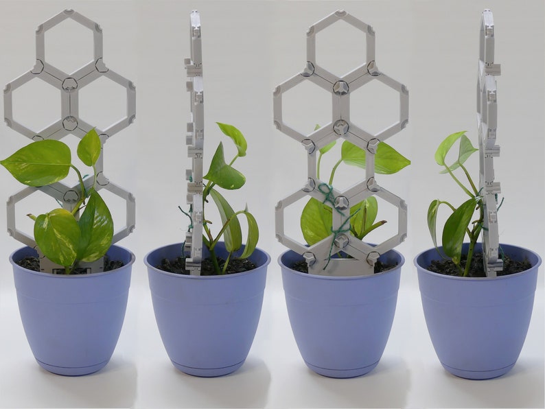 Modular Plant Trellis STL Files ONLY Print at Home Customizable ...