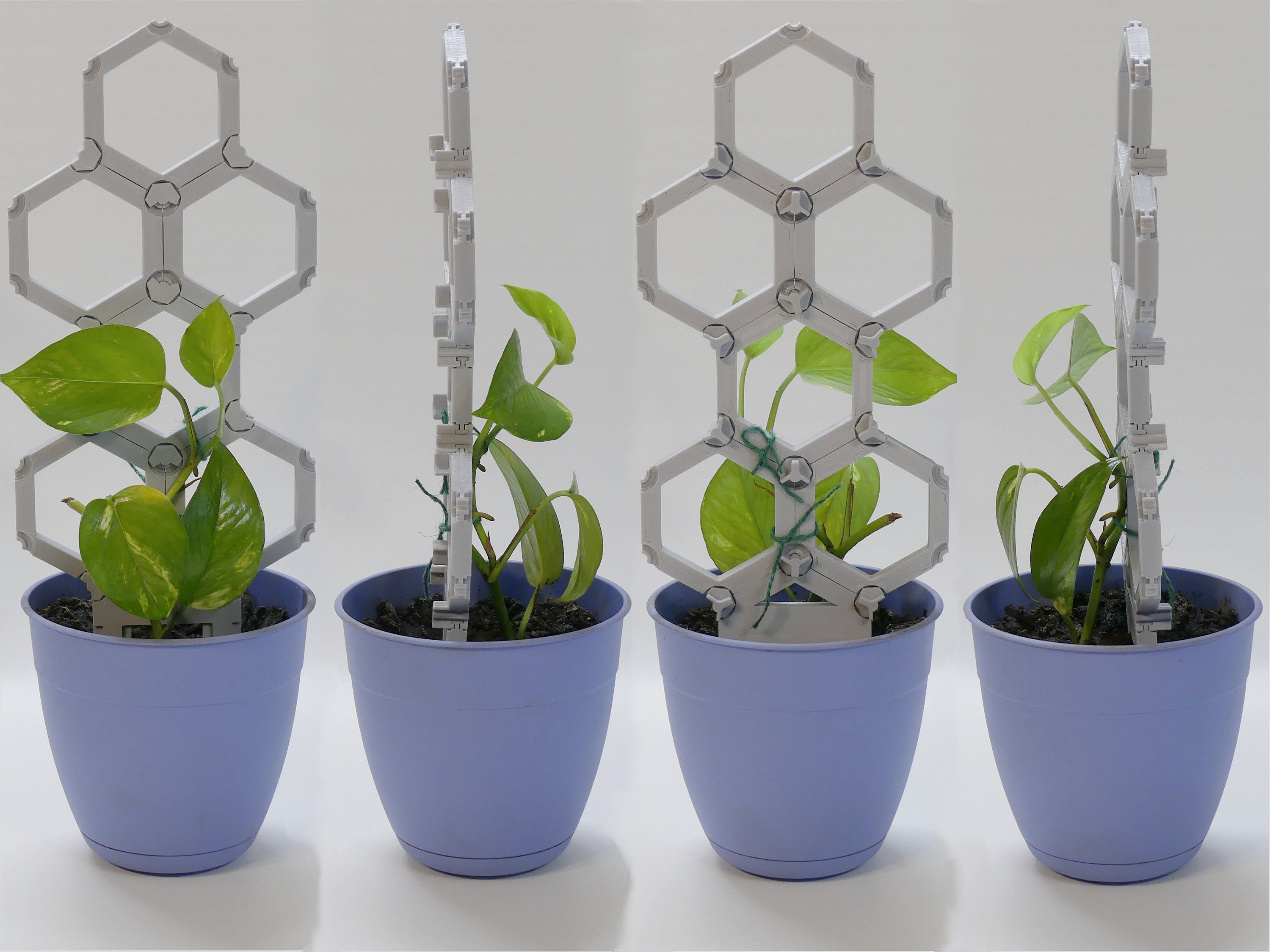 Modular Plant Trellis STL Files ONLY Print at Home Customizable Reconfigurable Hexagon 3D ...