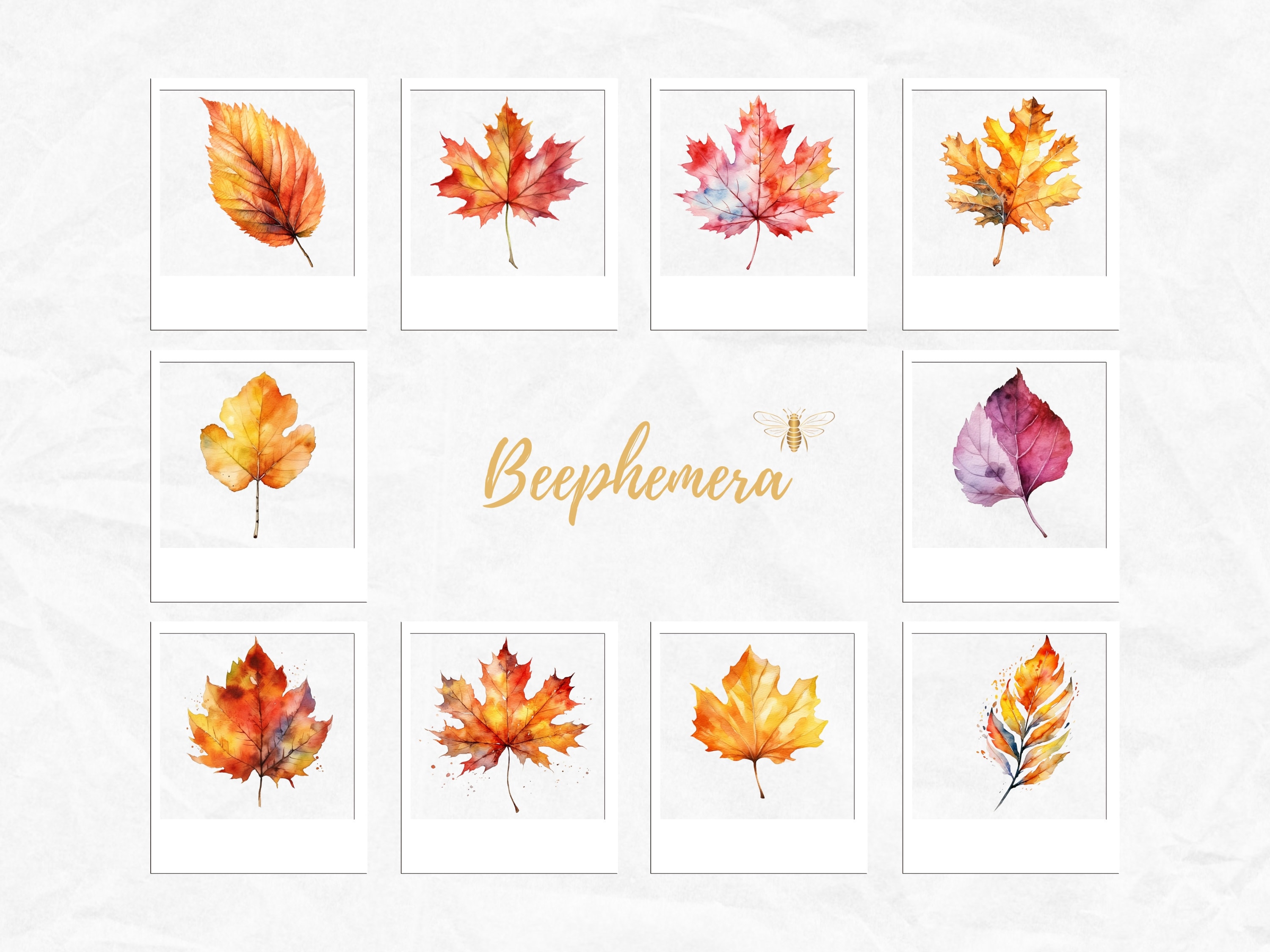 Watercolor Fall Leaves Clipart Autumn Forest Nature Leaf - Etsy