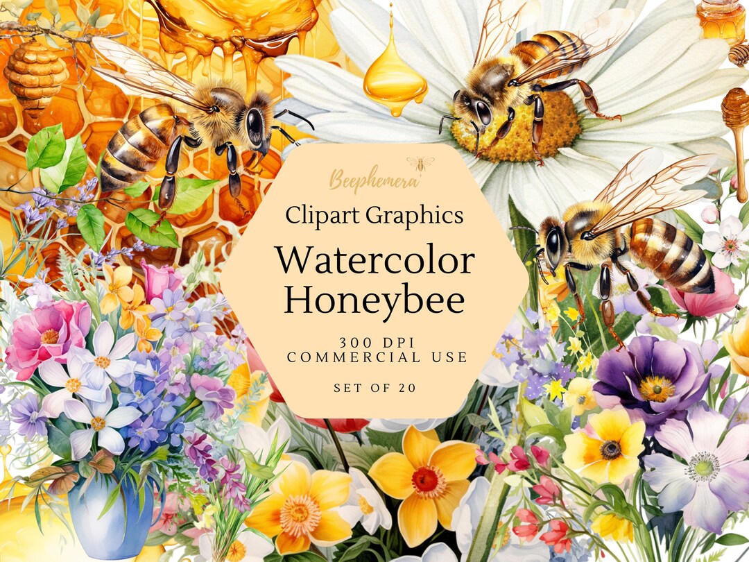 Watercolor Honeybee Clipart, Spring Garden Bee, Honey Drips and Flowers ...