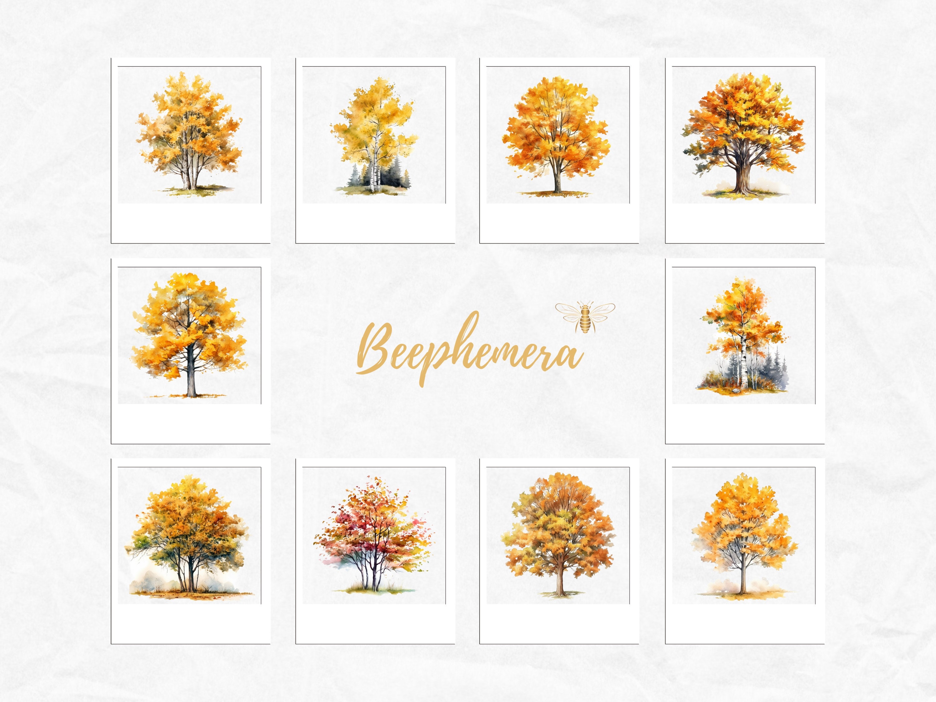 Watercolor Fall Trees Clipart Autumn Forest Nature Tree Clip Art , PNG ...
