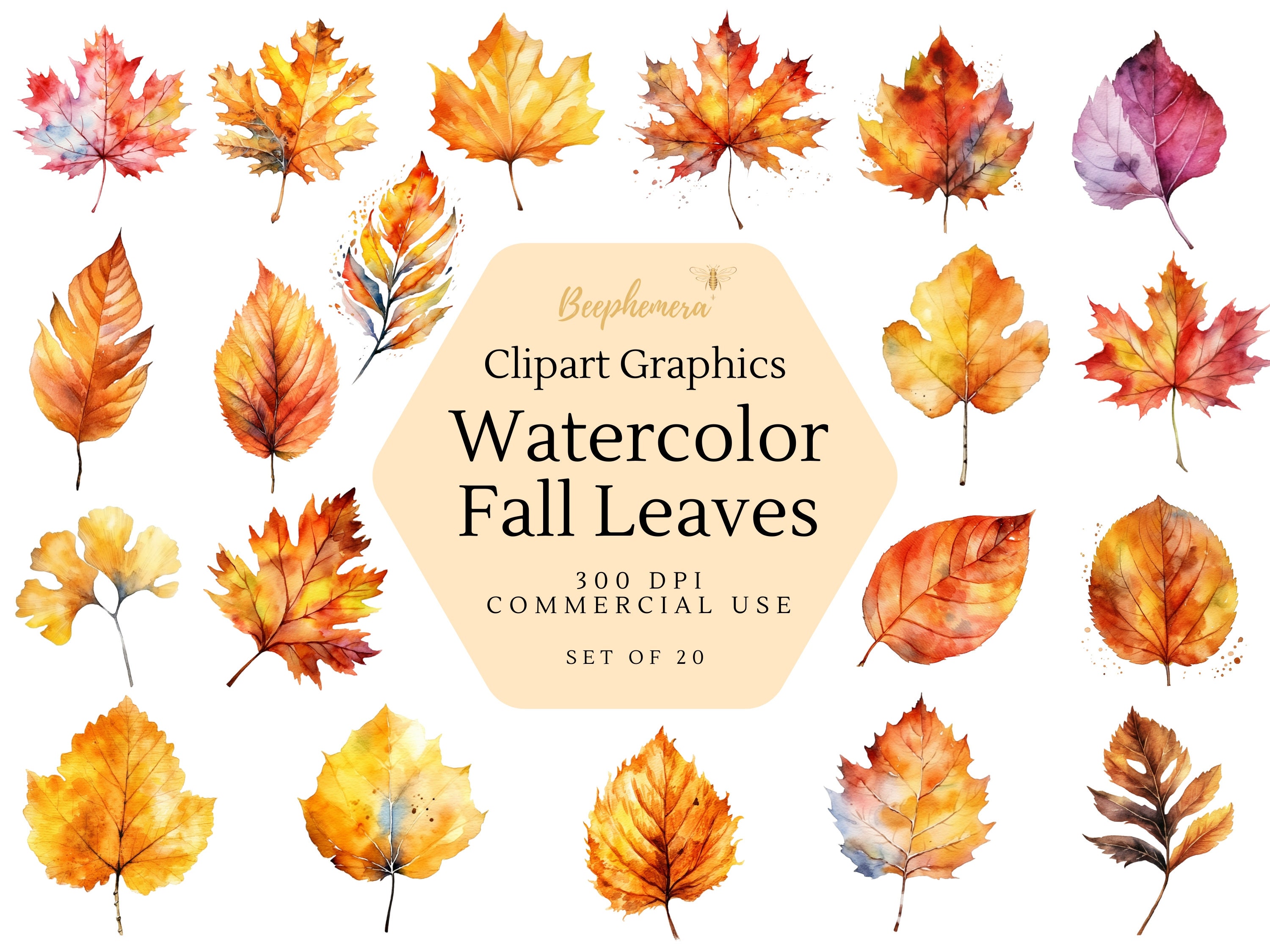 Watercolor Fall Leaves Clipart Autumn Forest Nature Leaf - Etsy