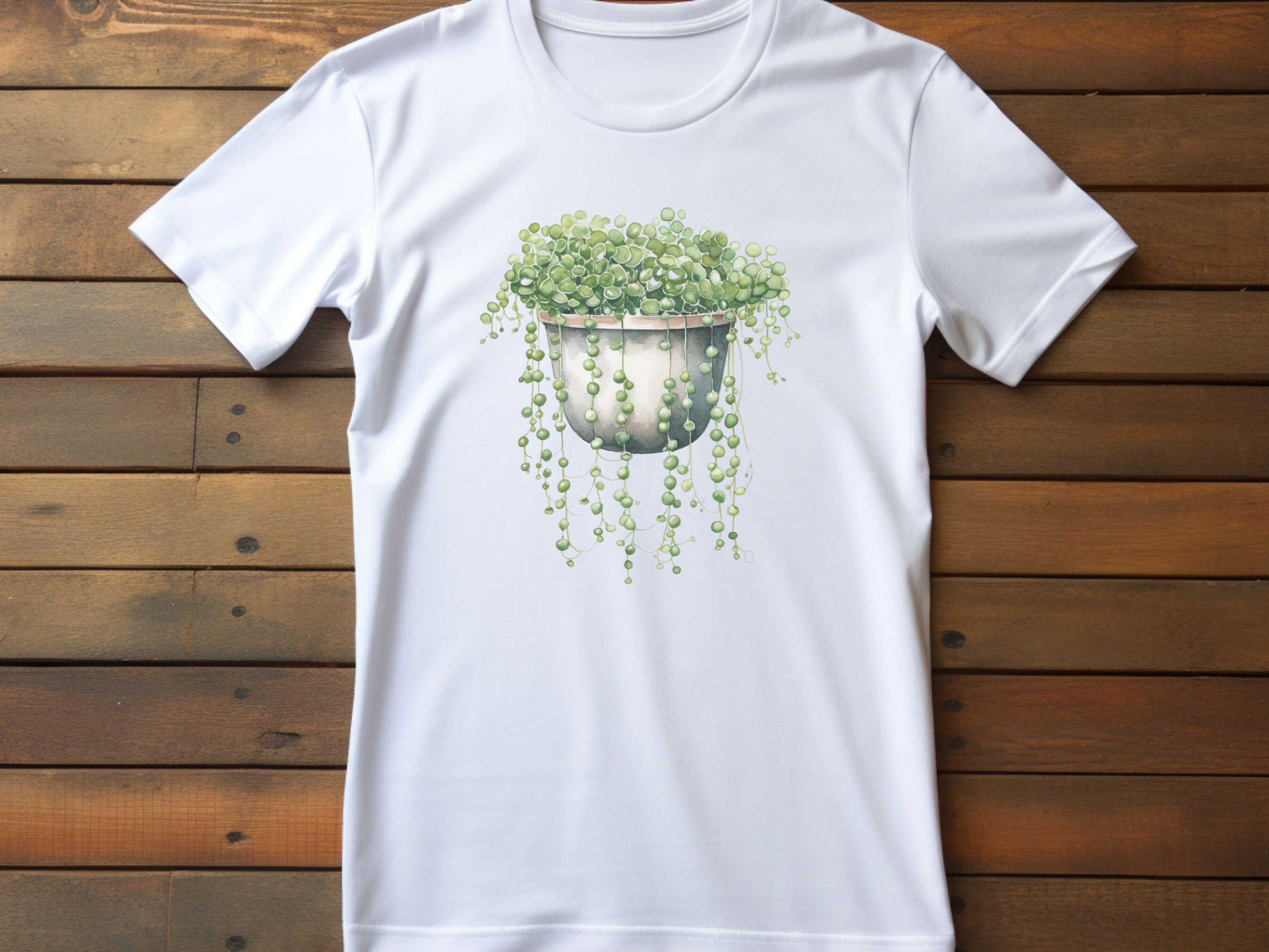 Watercolor String of Pearls Plant Clipart Botanical Hanging - Etsy