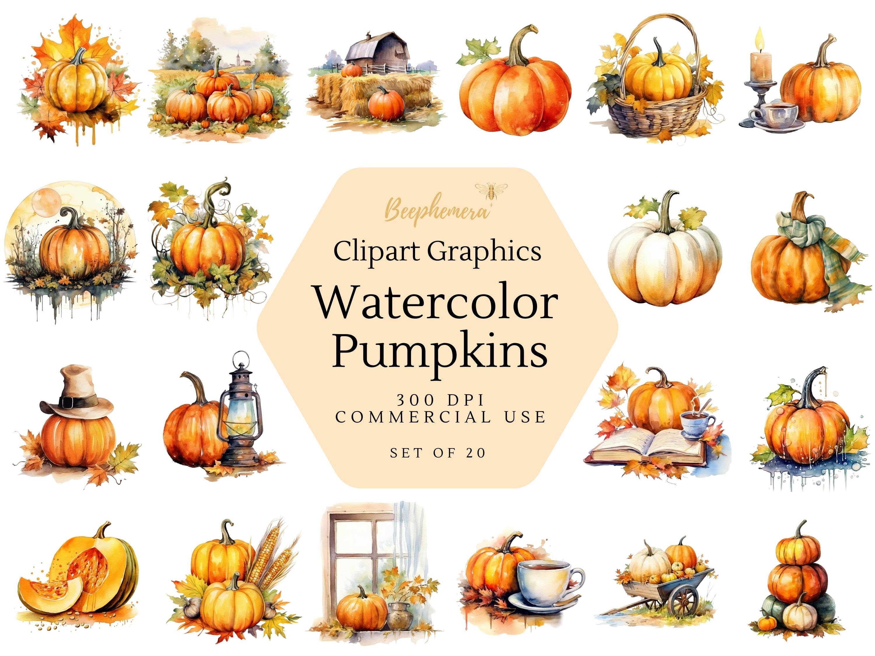Watercolor Pumpkin Clipart Autumn Nature and Fall-themed - Etsy