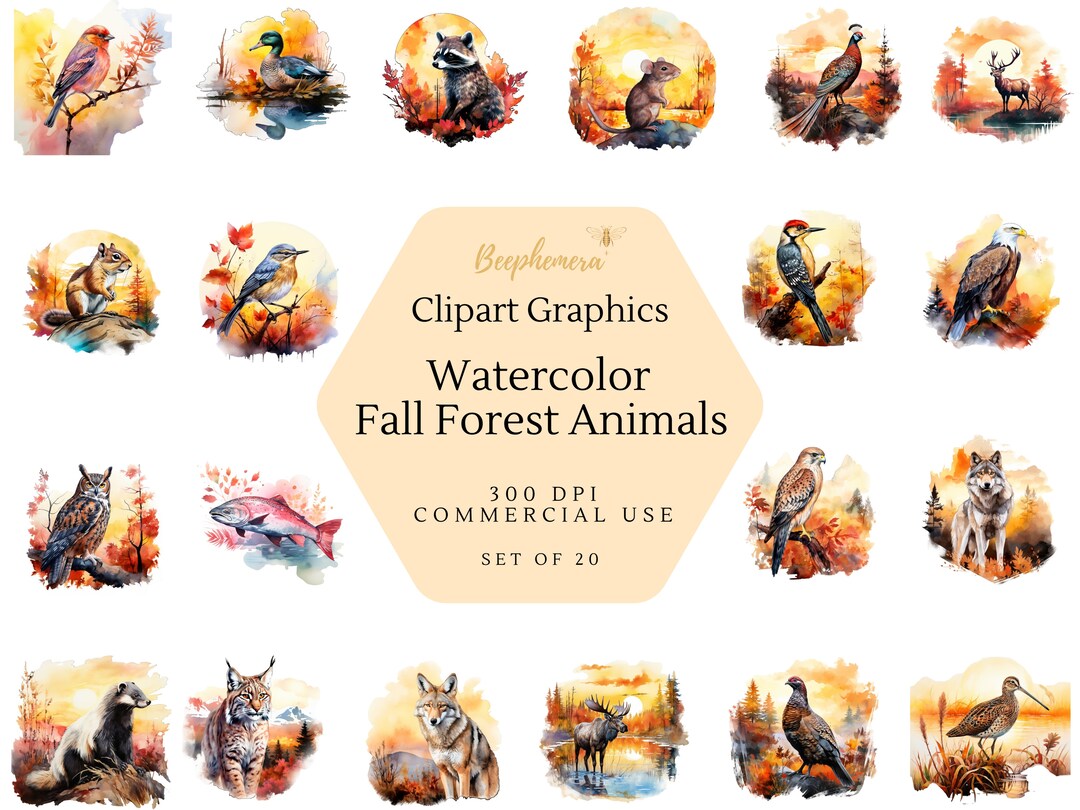 Watercolor Fall Forest Animals Clipart Critter Nature Autumn Clip Art ...
