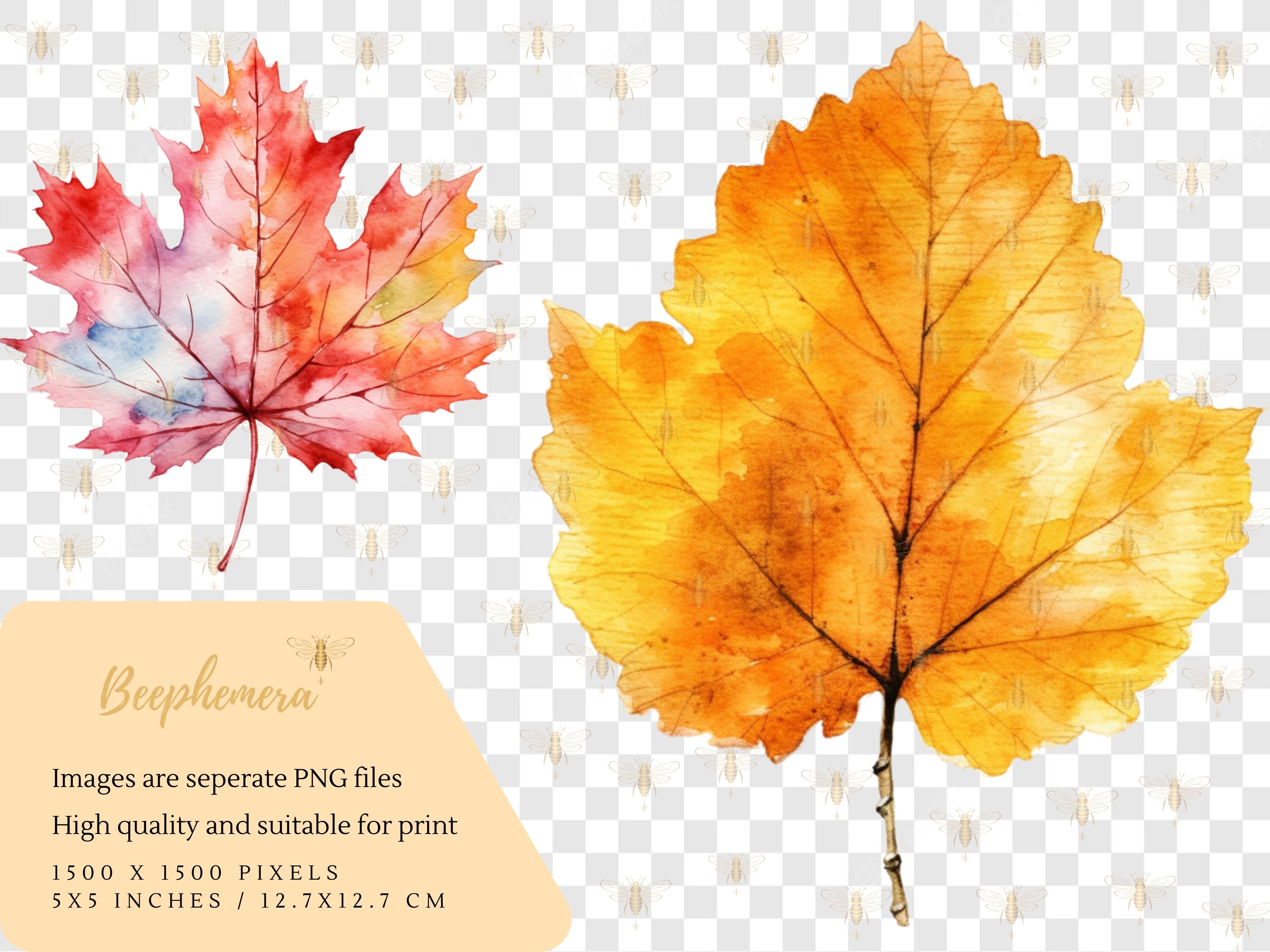 Watercolor Fall Leaves Clipart Autumn Forest Nature Leaf - Etsy