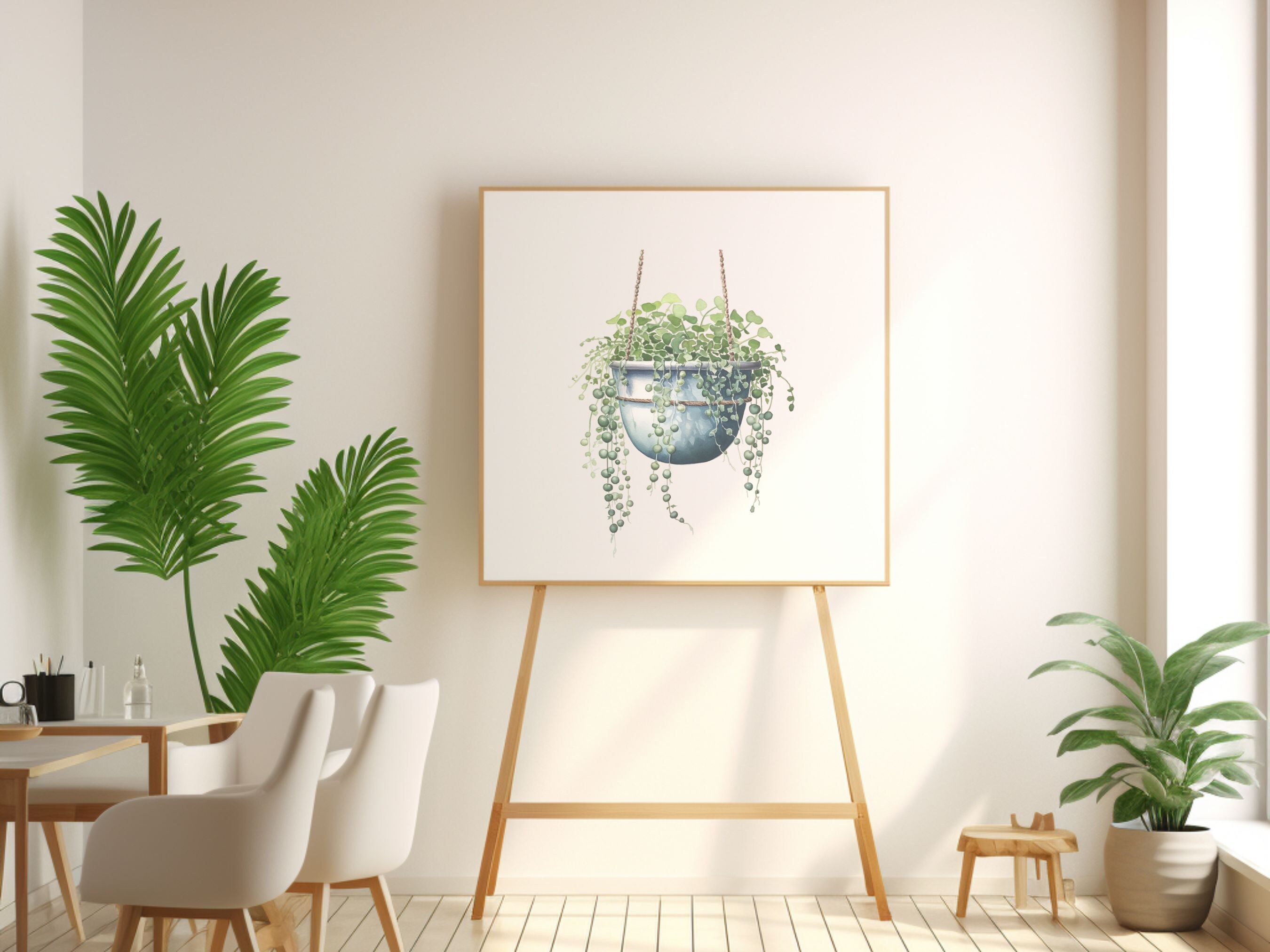 Watercolor String of Pearls Plant Clipart Botanical Hanging - Etsy