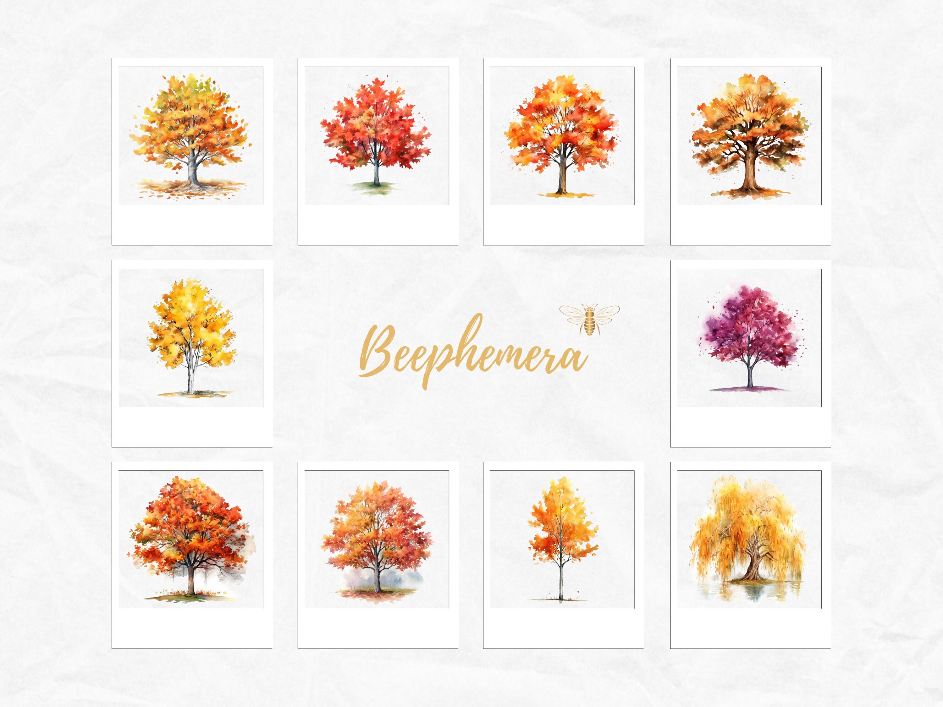 Watercolor Fall Trees Clipart Autumn Forest Nature Tree Clip Art , PNG ...