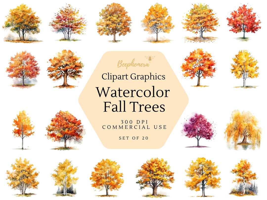 Watercolor Fall Trees Clipart Autumn Forest Nature Tree Clip Art , PNG ...