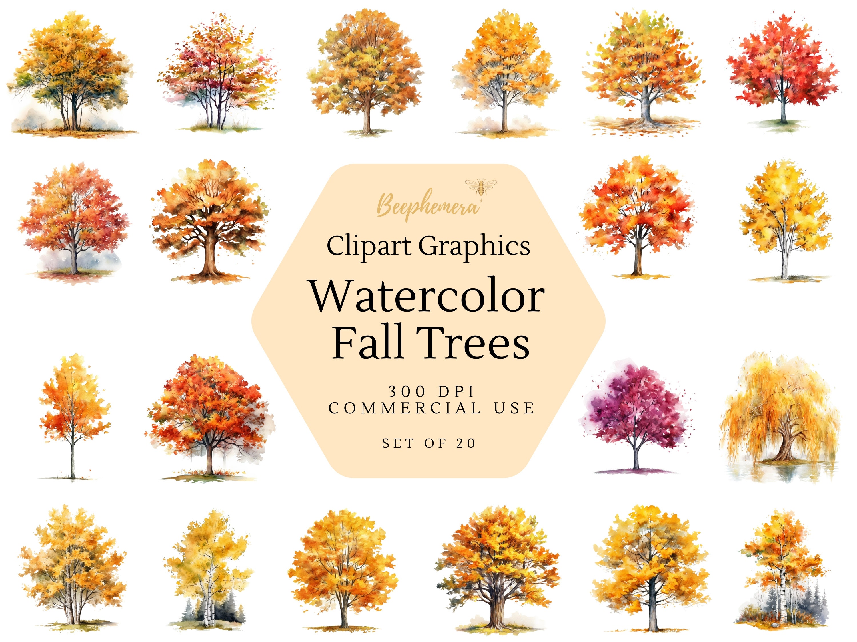 Watercolor Fall Trees Clipart Autumn Forest Nature Tree Clip Art , PNG ...