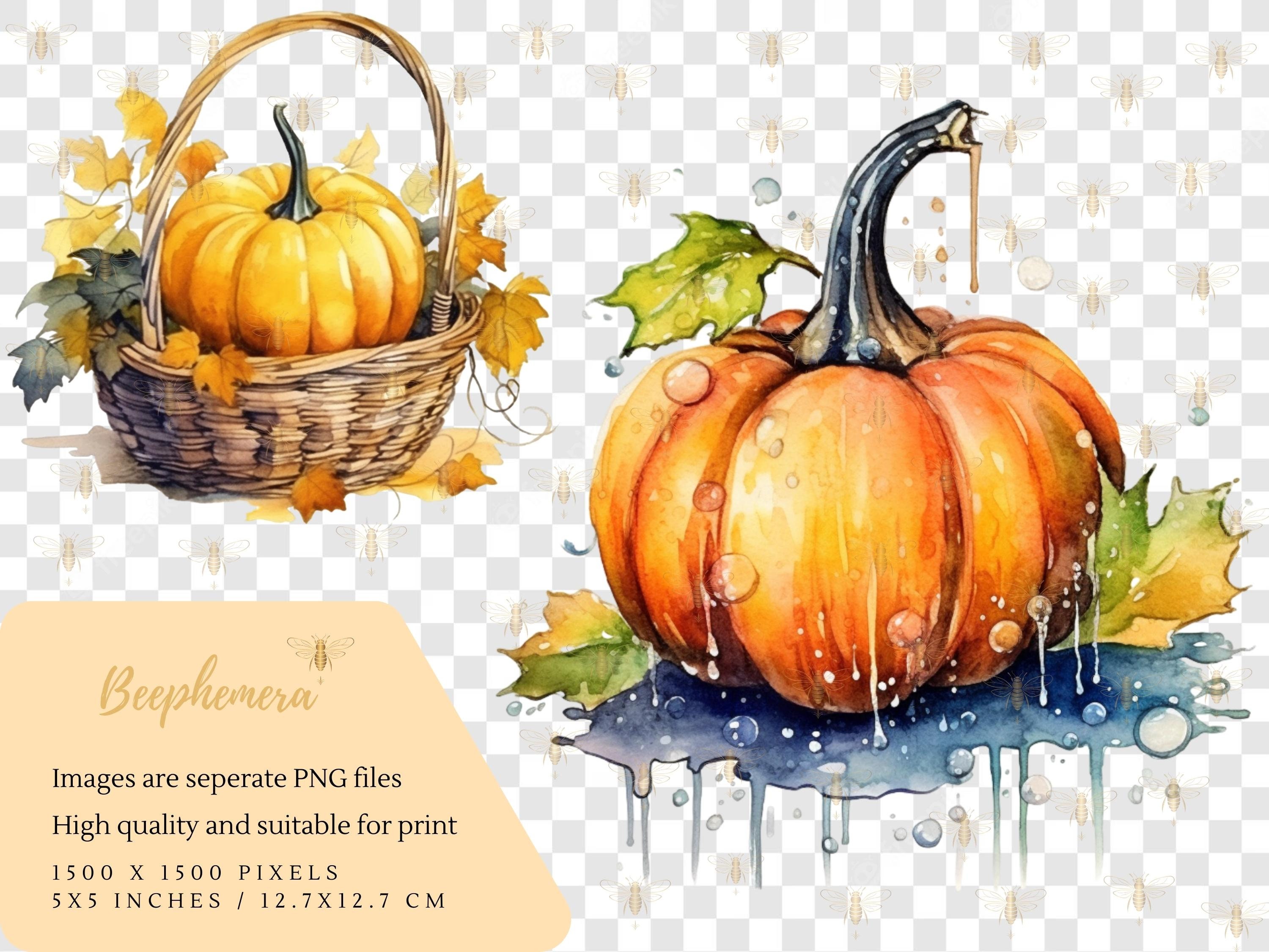 Watercolor Pumpkin Clipart Autumn Nature and Fall-themed - Etsy