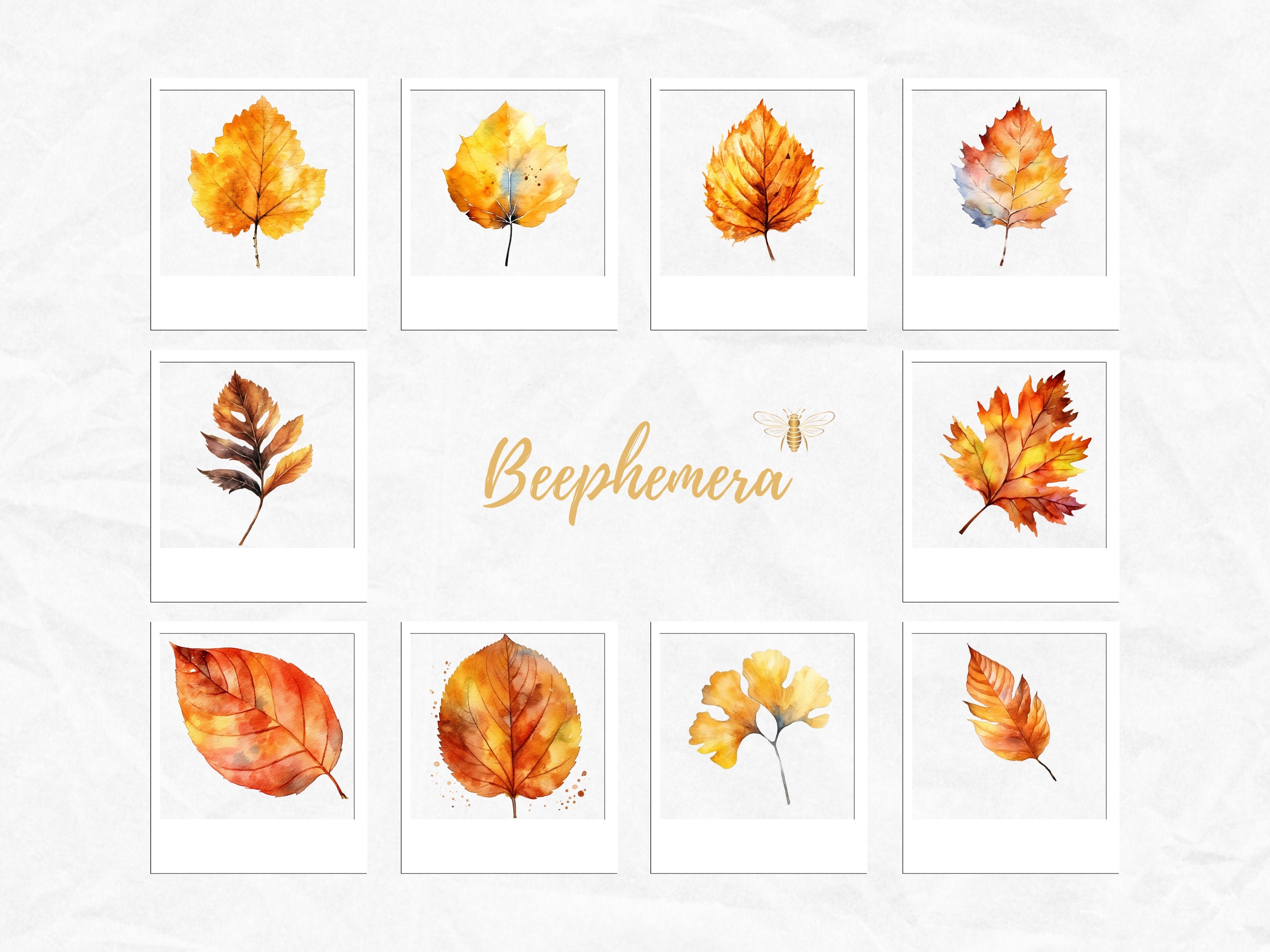 Watercolor Fall Leaves Clipart Autumn Forest Nature Leaf - Etsy
