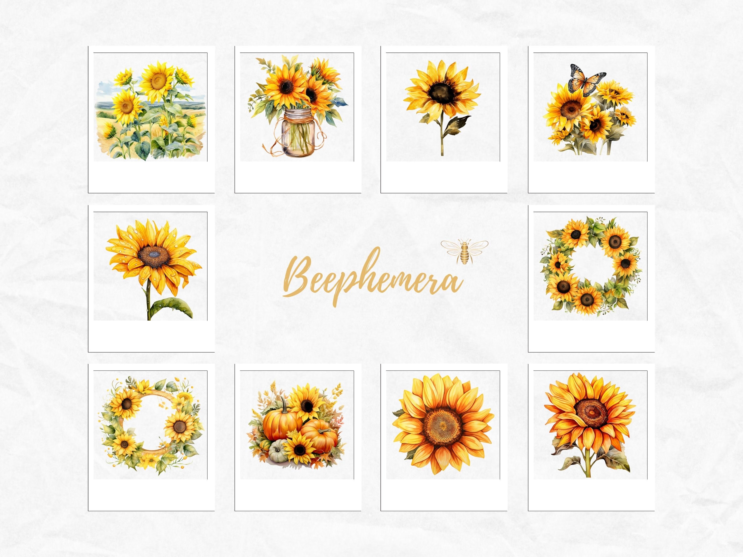 Watercolor Sunflower Clipart Fall Floral Sun Flower Autumn Clip Art ...