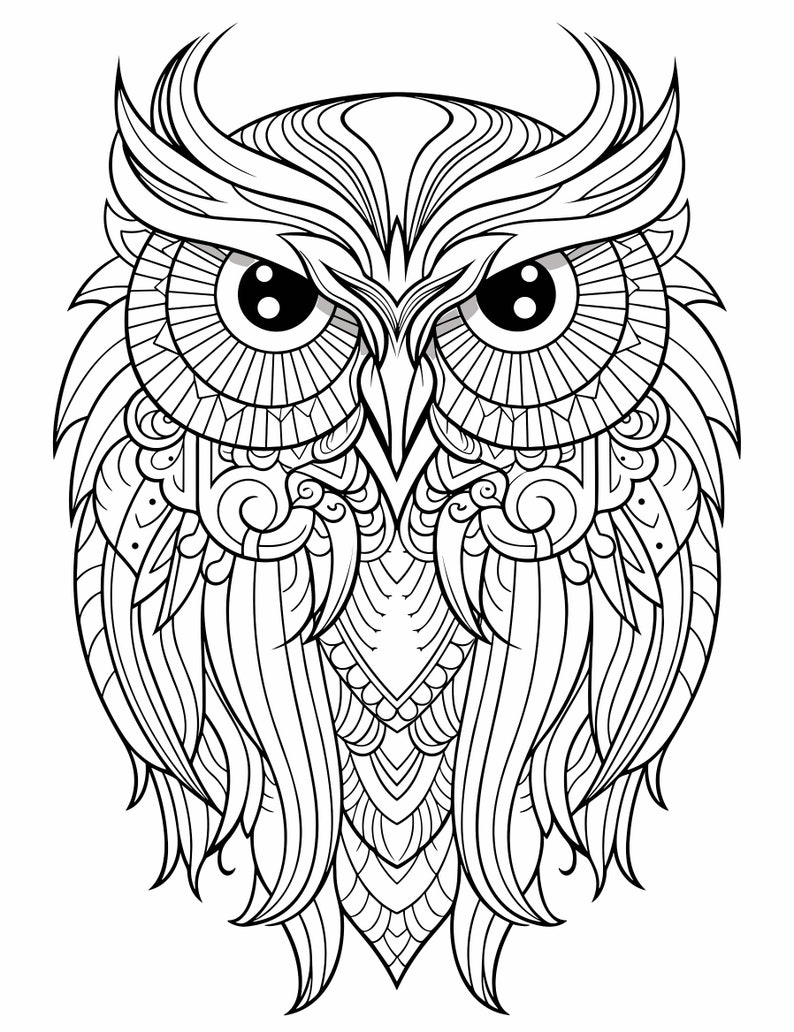 Owl Mandalas 50 Mandala Style Designs for Mindfulness and - Etsy
