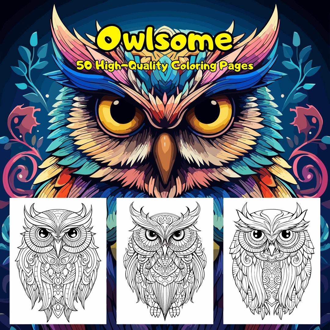 Owl Mandalas 50 Mandala Style Designs for Mindfulness and - Etsy