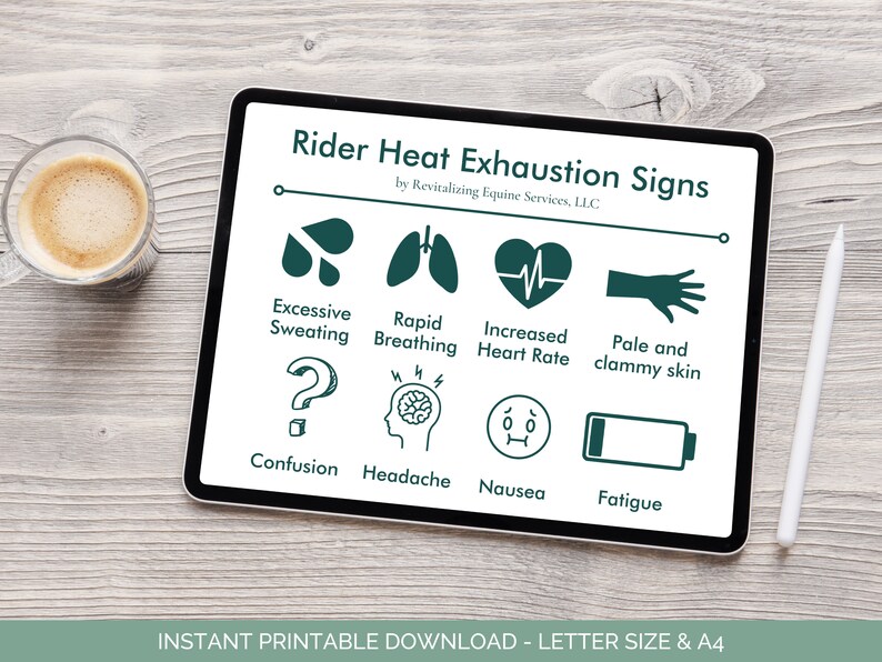 Horse and Rider Heat Exhaustion Signs Equestrian Health Care - Etsy