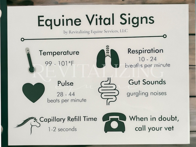 Equine Vital Signs - Equine Health Care - Equine Health - Equine ...