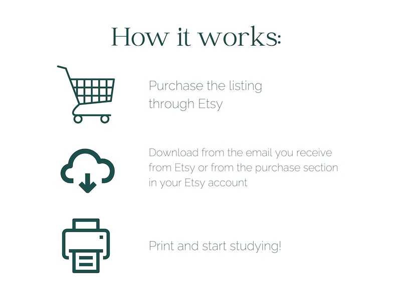 Equine Chakras - Horse Chakras - Equine Energy Work - Equine Bodyworker ...