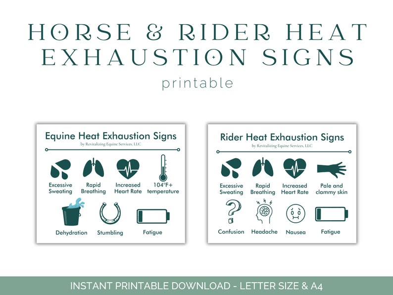 Horse and Rider Heat Exhaustion Signs Equestrian Health Care - Etsy