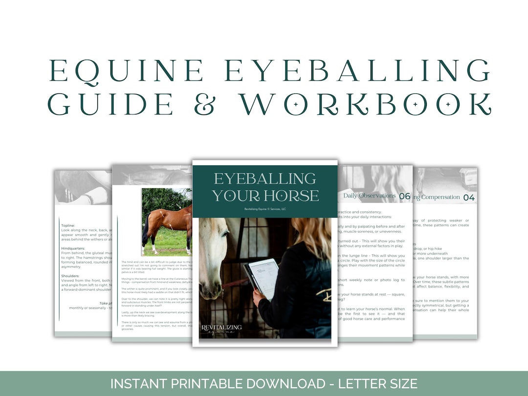 Equine Eyeballing Guide - Equine Bodyworker - Equine Massage Therapist ...