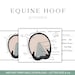 Equine Hoof Worksheet - Horse Anatomy - Horse Hoof - Equine Anatomy ...