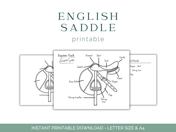 Parts Of An English Saddle