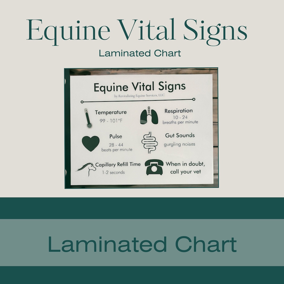 Equine Vital Signs Equine Health Care Equine Health - Etsy