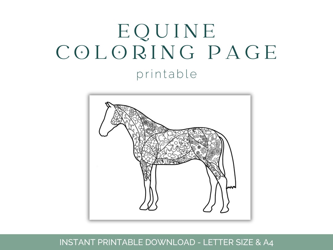 Equine Coloring Page Horse Coloring Activity Horse Coloring Page Equine ...