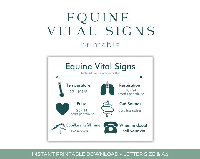 Horse Vital Signs Made Simple: A Reference for Every Equestrian ...