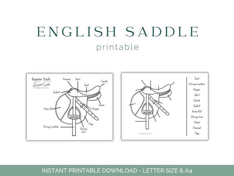 Parts of the Saddle Equine Tack English Saddle 4H FFA Hippology Horse ...