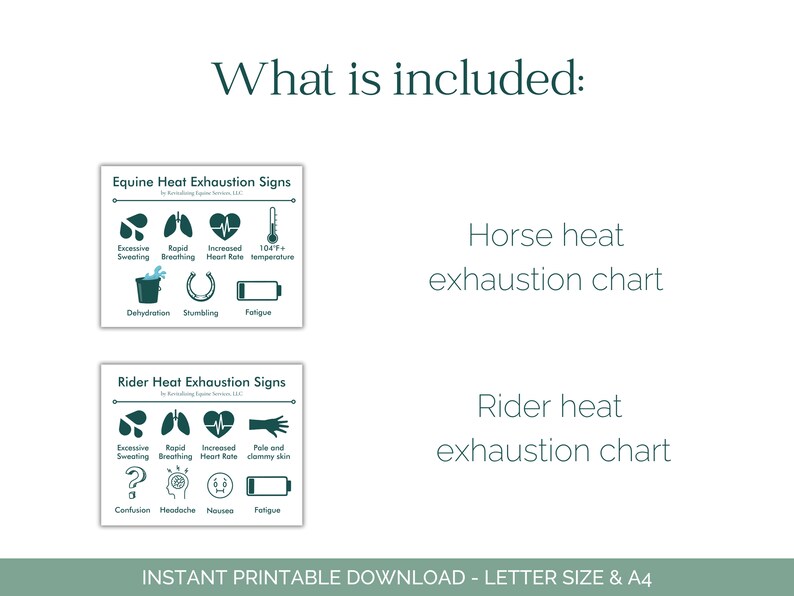 Horse and Rider Heat Exhaustion Signs Equestrian Health Care - Etsy