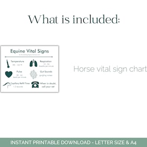 Horse Vital Signs Equine Health Care Signs - Etsy