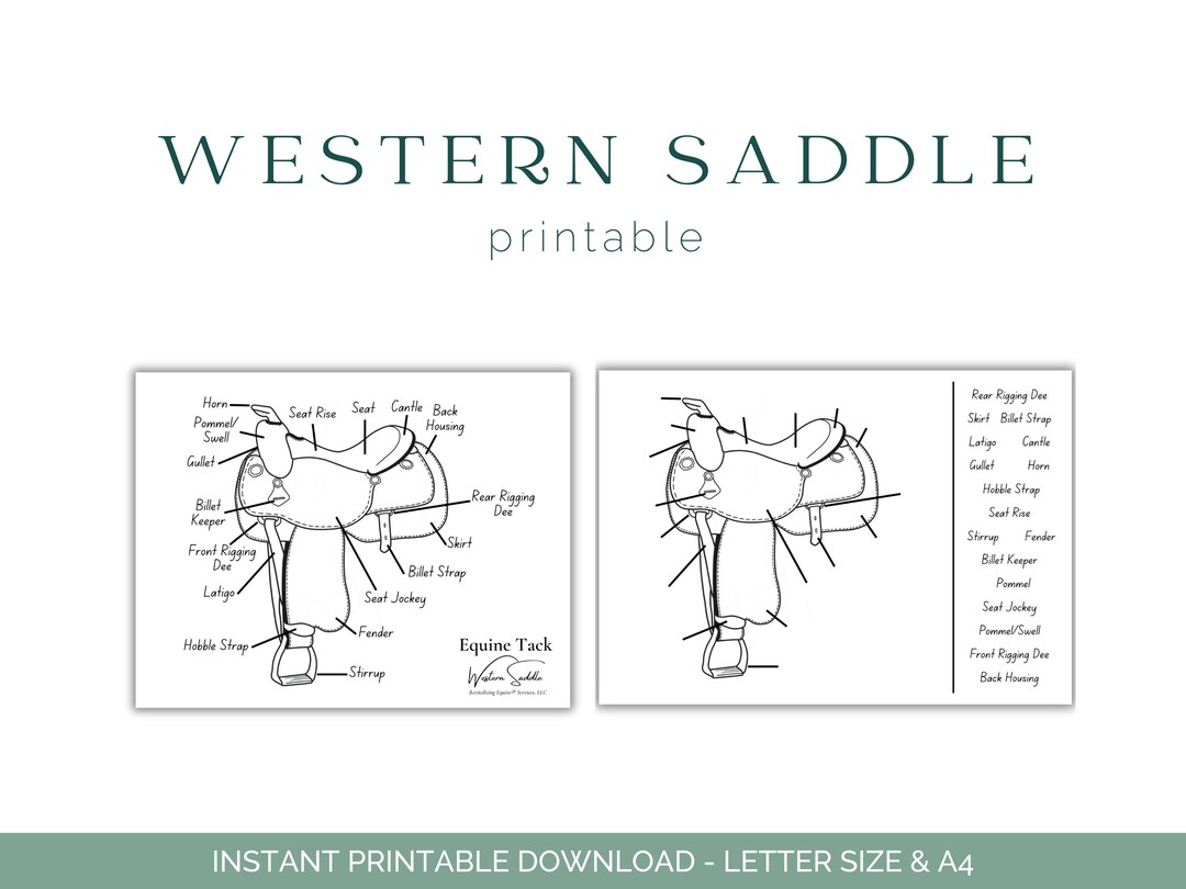 Equine Tack - Parts of the Saddle - Western Saddle - 4H - FFA ...