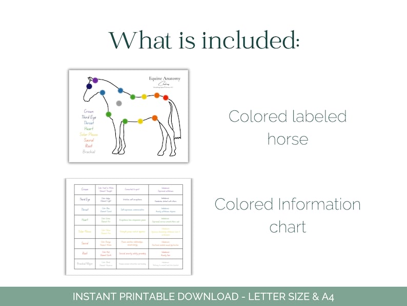 Equine Chakras - Horse Chakras - Equine Energy Work - Equine Bodyworker ...