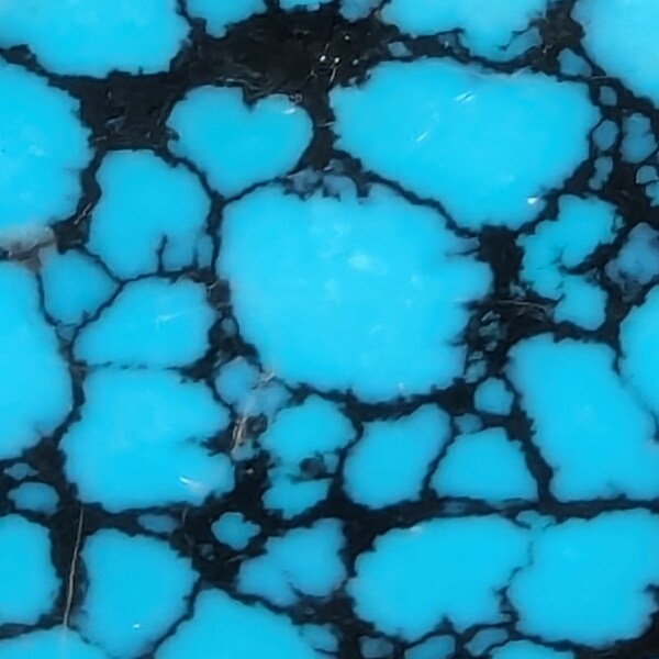 Spiderweb Turquoise - Etsy