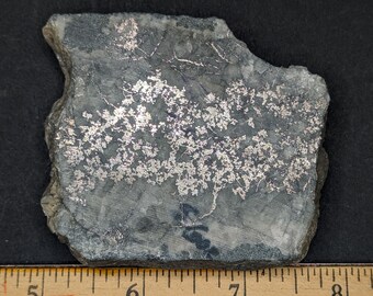 Native Silver Ore Rough Mineral Lapidary Specimen Slabs Slices From ...
